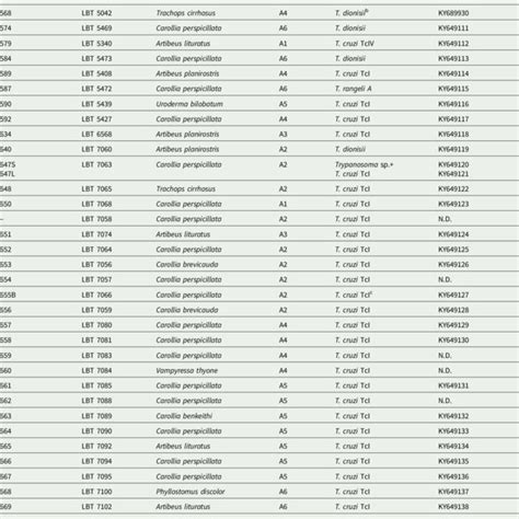 Identification Numbers Bat Species Locality And Molecular Download Table