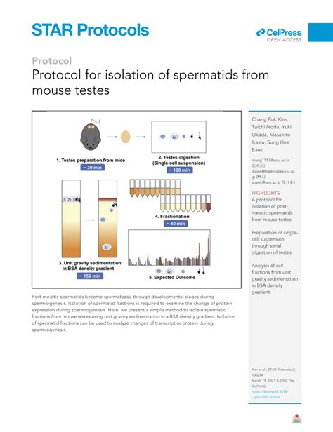PDF Protocol For Isolation Of Spermatids From Mouse Testes