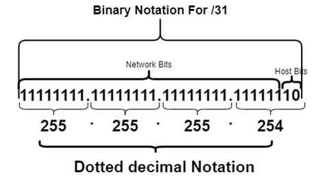 31 Subnet Mask Netizzan