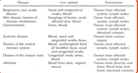 Diagnosis Of Viral Infections 1 And 2 Flashcards Quizlet