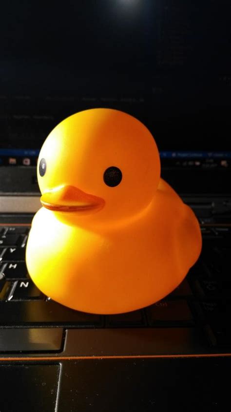Rubber Duck Finally Got My Own Code Buddy I Call Him Luke DevRant