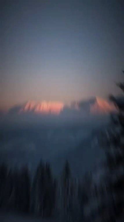 Bhat Muneer Ibhatmuneer • Instagram Photos And Videos