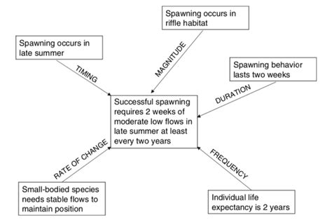 Conceptual Ecological Model For A Hypothetical Species Mathews