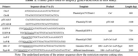Table 1 From Application Of The Cre Loxp Site Specific Recombination System For Gene
