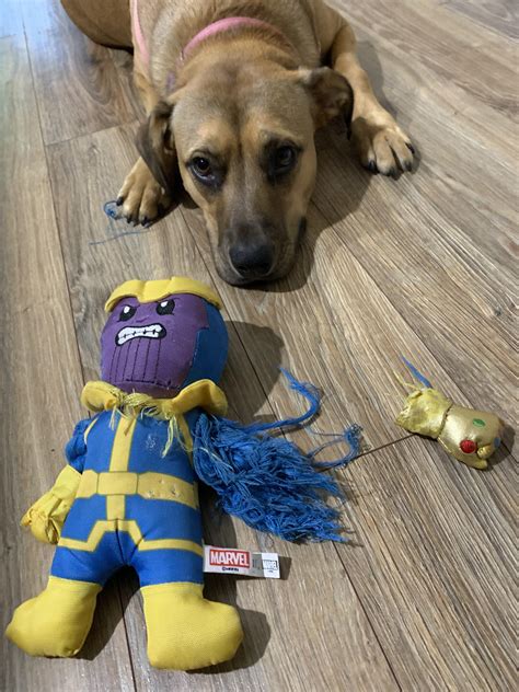 Best Infinity Gauntlet Images On Pholder Marvelstudios Marvel And Thanosdidnothingwrong