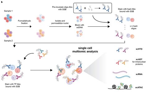 Neat Seq Single Cell Genomics Assays