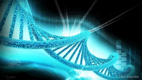 遗传算法解决函数最大化问题的完整python实现编写一个使用遗传算法计算函数最大值的小程序 Csdn博客