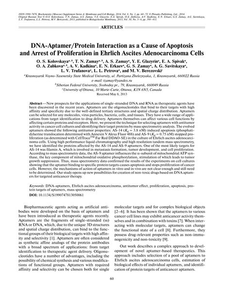 Pdf Dna Aptamerprotein Interaction As A Reason Of Apoptosis And Proliferation Stop In Ehrlich