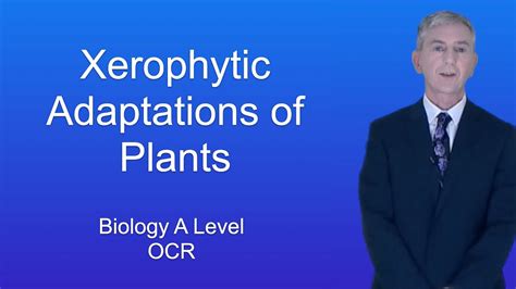 A Level Biology Revision Xerophytic Adaptations Of Plants Youtube