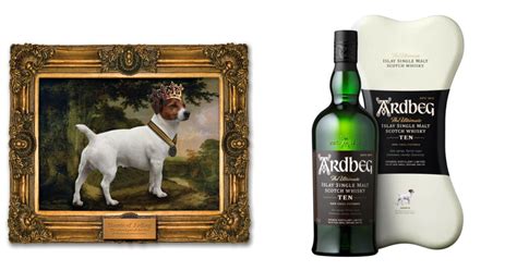 기네스 레코드에 올라버린 위스키 고양이의 진기록