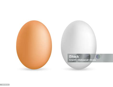 두 벡터 현실적인 흰색 계란 흰색 배경에 고립 된 계란 벡터 스톡 일러스트레이션입니다 3차원 형태에 대한 스톡 벡터 아트 및 기타 이미지 3차원 형태 갈색 건강한