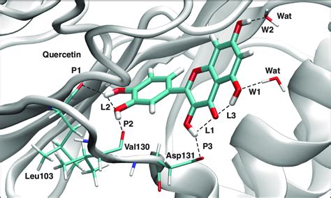 Optimized Geometry Of The Quercetin Ns5 Complex The Qm Part Includes