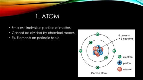 Organization And Relationship Of Matter And Living Organisms Ppt Download Organization And Relationship Of Matter And Living Organisms Ppt Download