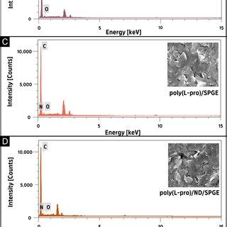 SEM Images Of Bare SPGE A B ND SPGE C D Poly L Pro SPGE E Download Scientific