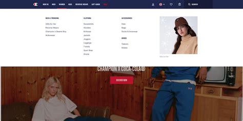 Facets Vs Filters Understanding The Difference