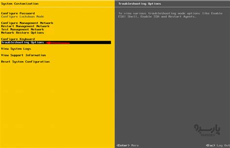 آموزش فعال کردن SSH در VMware ESXi وبلاگ پارسدو