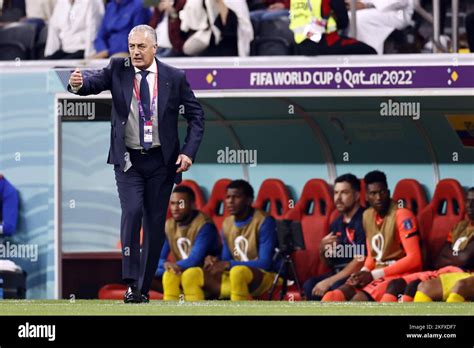 Al Khor Ecuador Coach Gustavo Alfaro During The Fifa World Cup Qatar