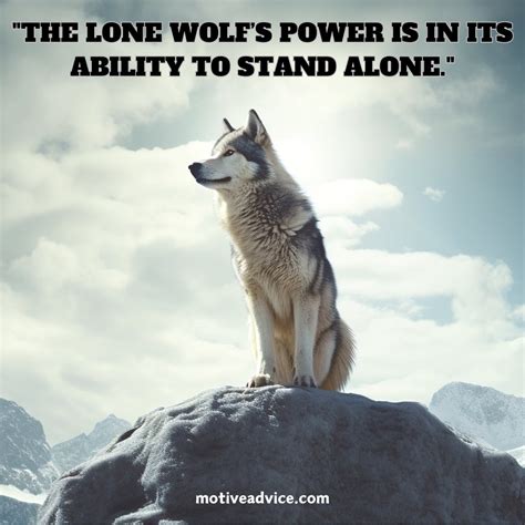 100lone Wolf Quotes Motive Advice