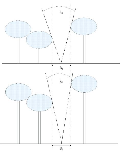For Tree Crown Of A Given Size Canopy Cover B Is Independent Of Download Scientific Diagram
