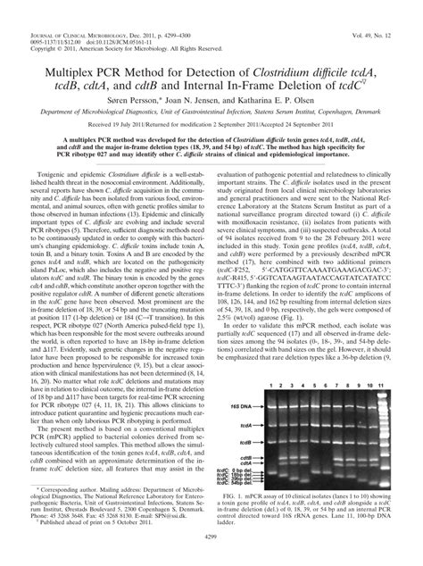 Pdf Multiplex Pcr Method For Detection Of Clostridium Difficile Tcda Tcdb Cdta And Cdtb And