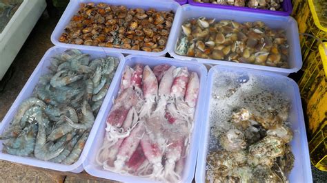 Thailand Fresh Seafood On Street Market 7658609 Stock Video At Vecteezy