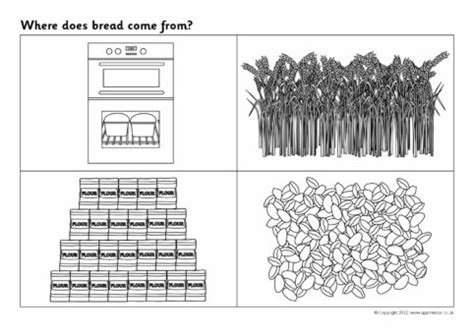Where Does Bread Come From Sequencing Sheets Sb7226 Sparklebox