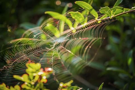 kmf infotech on linkedin navigating complexity [company name] s