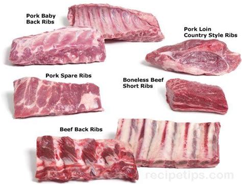 Different Types Of Ribs The Trellis