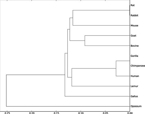 The Dendrogram Of The 11 Tested Species Based On The Similarity Matrix Download Scientific