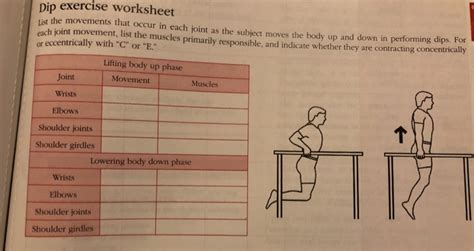 Dip Exercise Worksheet List The Movements That Occur