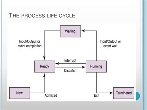 Process Life Cycle