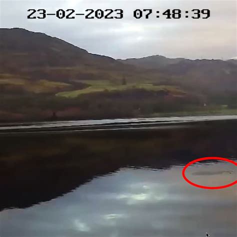 Nessie Sightings