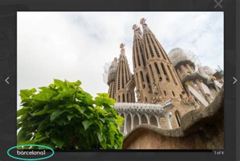 How To Hide Image File Names On Divi Gallery Images Divi Theme Help Tutorials