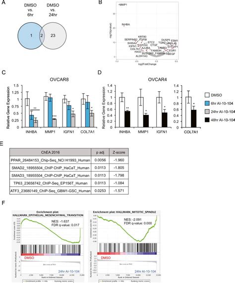Small molecule inhibition of the CBFβ RUNX interaction decreases ovarian cancer growth and