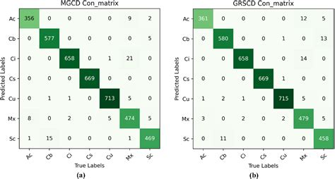 Amt Improved Repvgg Ground Based Cloud Image Classification With