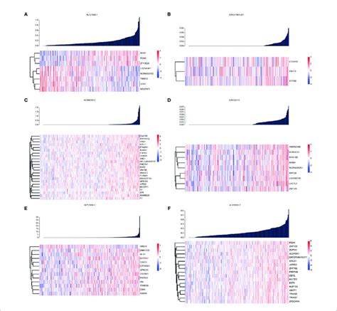 Pearson Correlation Coefficient Analysis Between The Expression