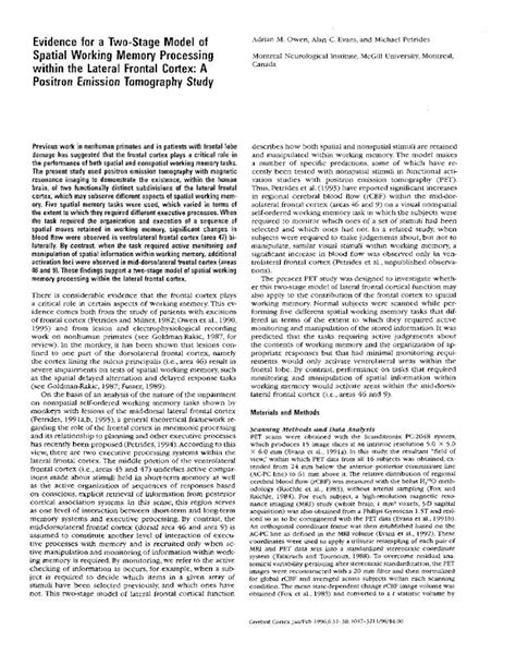 Pdf Evidence For A Two Stage Model Of Spatial Working Memory