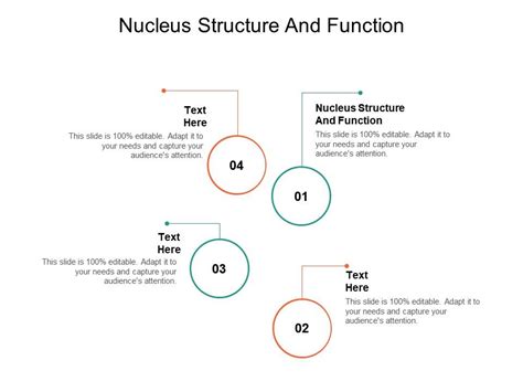 Nucleus Structure And Function Ppt Powerpoint Presentation File Professional Cpb Presentation