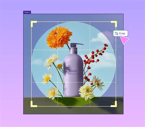 Circle Image Cropper Crop Images Online For Free Wixel