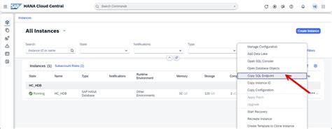 Choose An Sap Hana Database Sap Tutorials