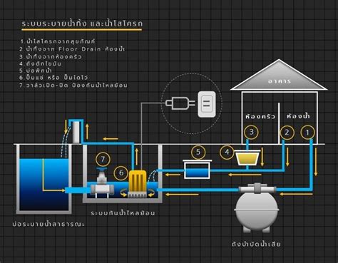 น้ําทิ้ง ภาษาอังกฤษ การแก้ปัญหาและวิธีดูแลที่ดี Classic Shop Phòng Tranh And Cá Cảnh Phước Sang