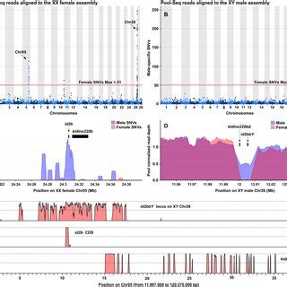 Characterization Of The Sex Chromosome And Sex Locus Of Arapaima Gigas Download Scientific