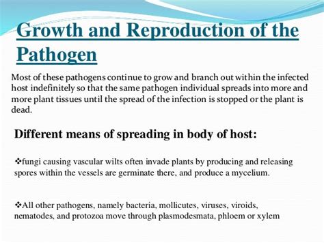 Infection Invasion Growth And Reproduction Of Pathogen
