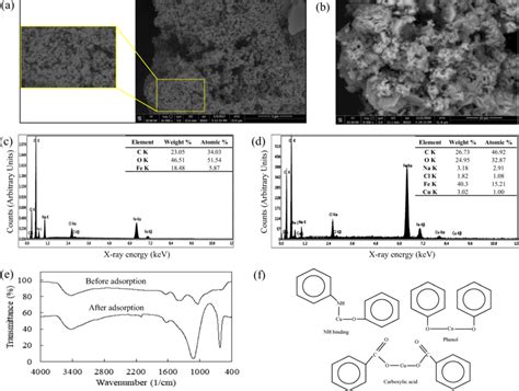 A Sem Before Adsorption B Sem After Adsorption C Edx Before