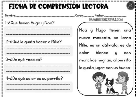 101 Ejercicios Para Mejorar Y Practicar La ComprensiÓn Lectora