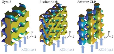 Examples Of Triply Periodic Minimal Surfaces Tpms Geometries All Of