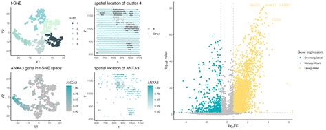 anxa3 spatial expression genomic data visualization