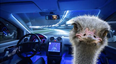 Is Your Marketing On Auto Pilot