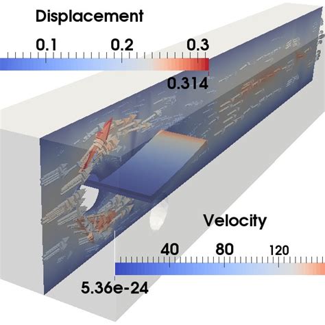 Visualization Of Fluid Velocity Field And Structure Displacement