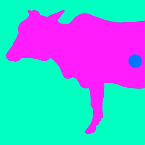 Cattle Weight Detection Model Dataset 12k~ Kaggle